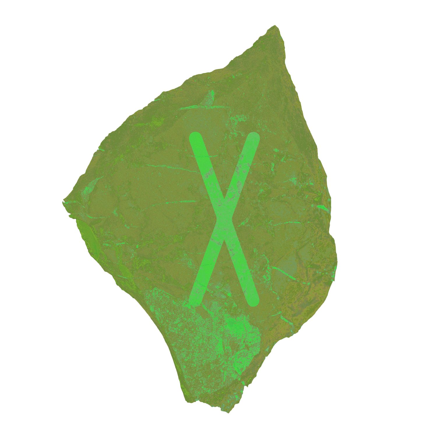 Your runic astrology horoscope for October 23rd - 29th - Vogue Scandinavia